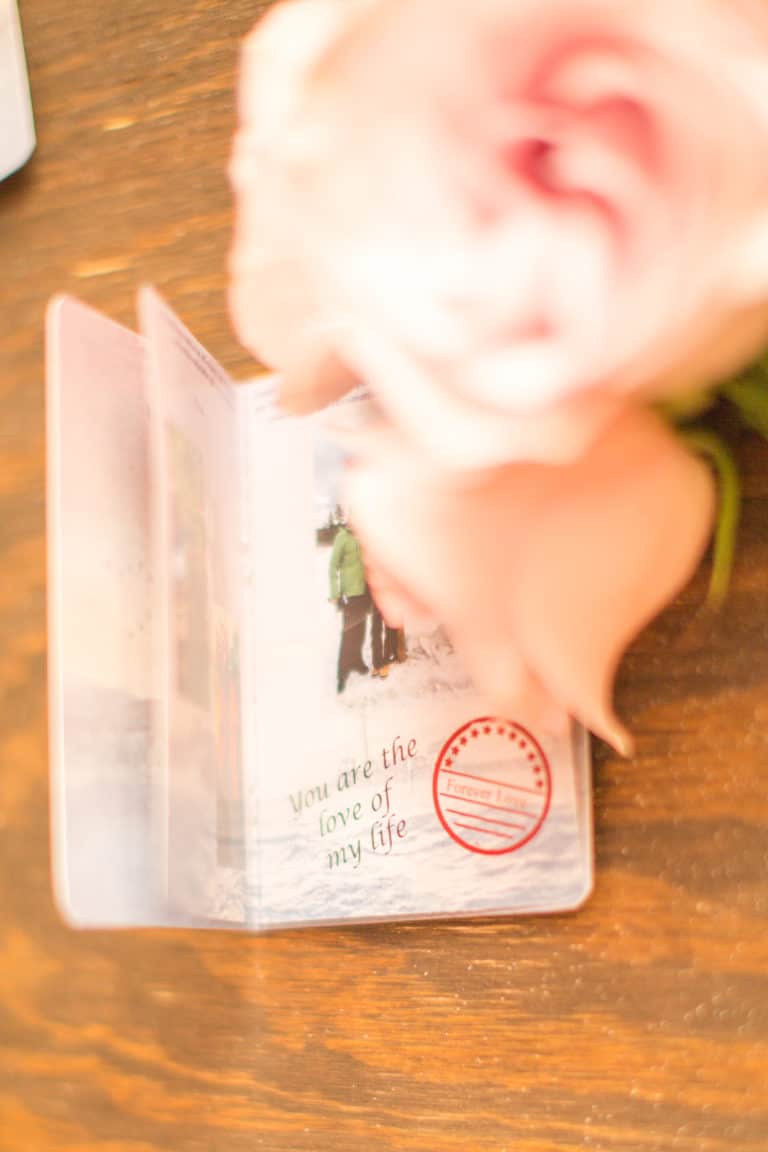 Jill + Todd | Proposal | Alexandra T. Wren Photography